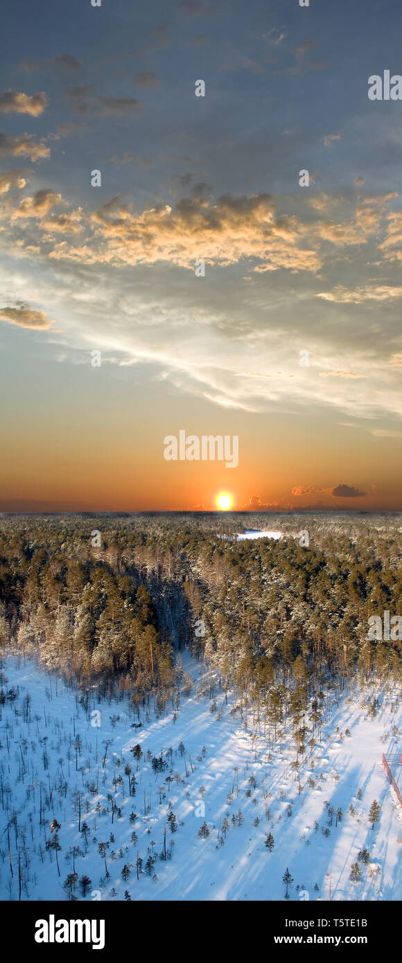 Beautiful colorful sunset in wild Siberian taiga Stock Photo - Alamy