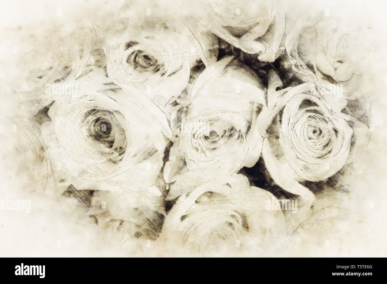 rose and computer drawing effect. omputer drawing collage Stock Photo ...