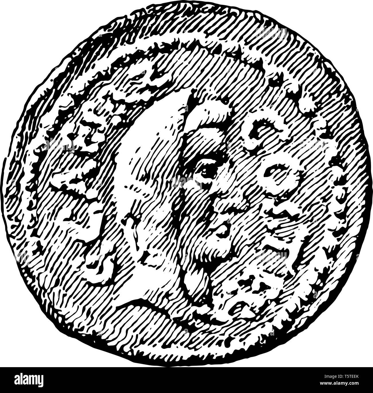 Julius Caesar Coin Drawing