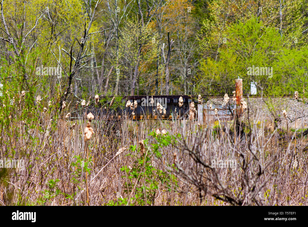 train tracks running behind a grass field Stock Photo - Alamy