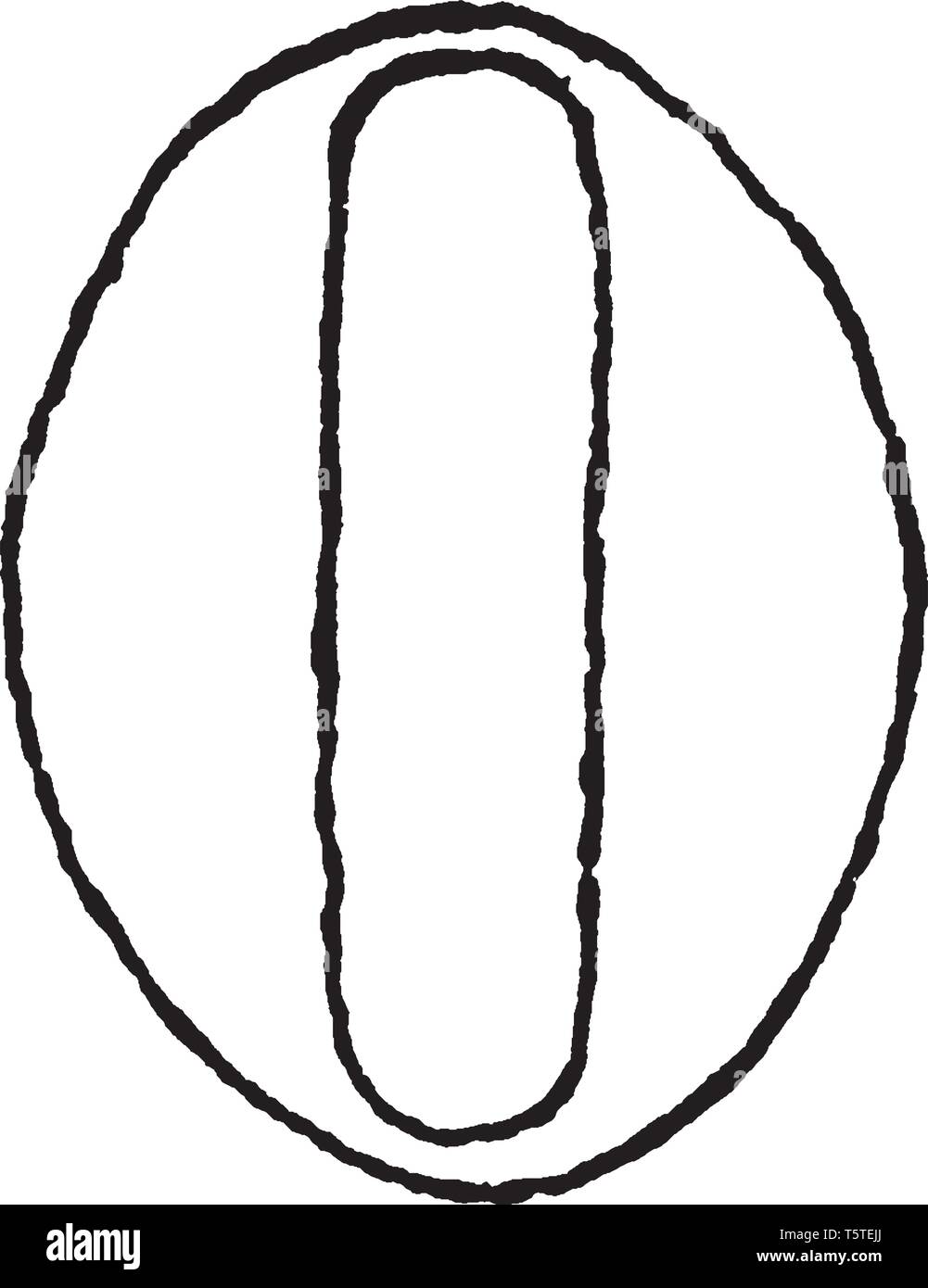 An old English letter O, vintage line drawing or engraving illustration ...