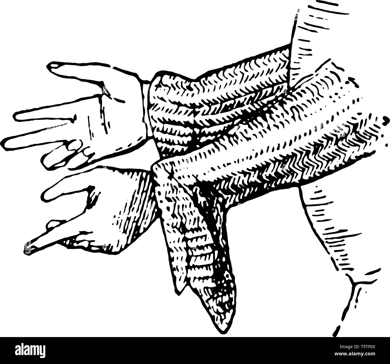 Gauntlet of Mail forming part of the hauberk, vintage line drawing or ...