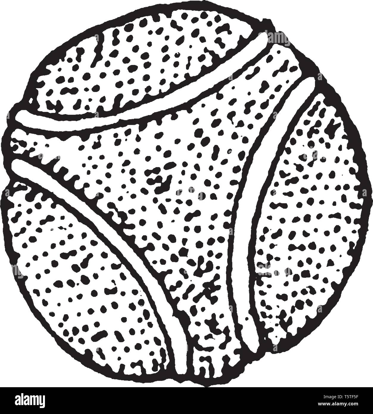 This pollen it's like ball, Pollen is prepared in pollen cones and flat ...