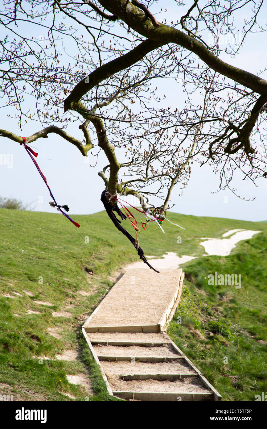 JRR Tolkien's trees, Avebury, Wiltshire Stock Photo - Alamy