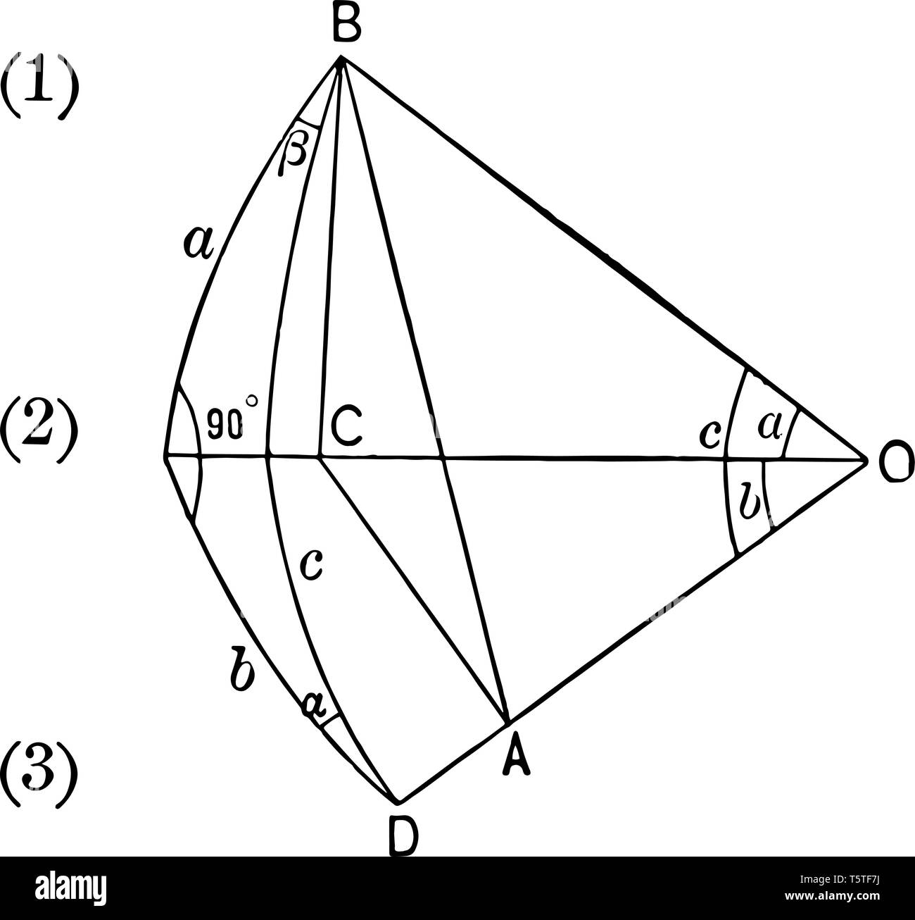 Two sides Stock Vector Images - Alamy