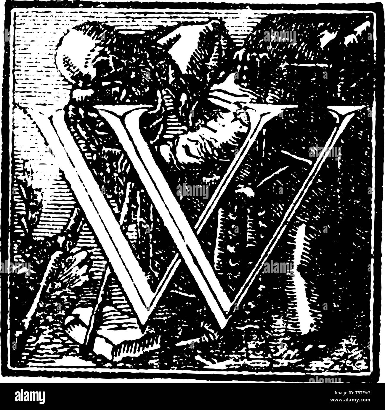 This picture includes the letter W. This letter W is enclosed in a box ...