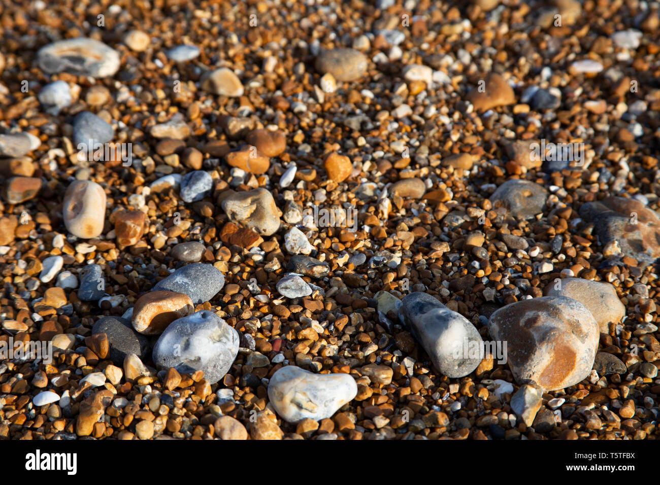 Pebbles on a beach. Background Stock Photo - Alamy