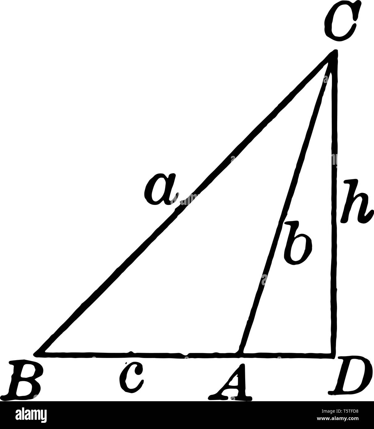 Obtuse Triangles In The World