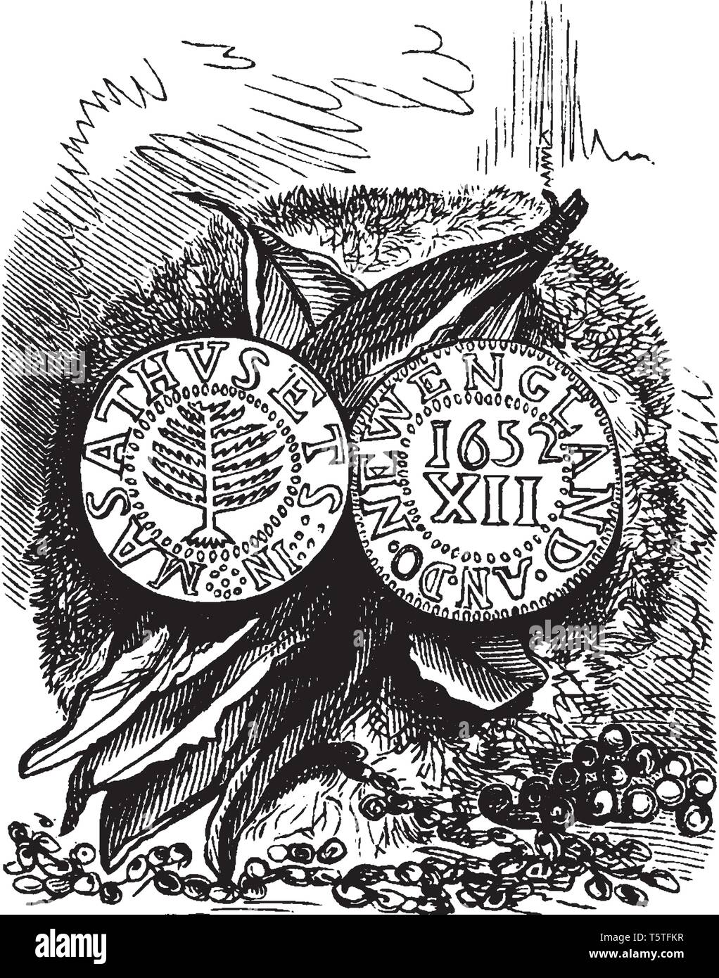 Pine-tree Shilling was a form of currency in colonial america,vintage ...