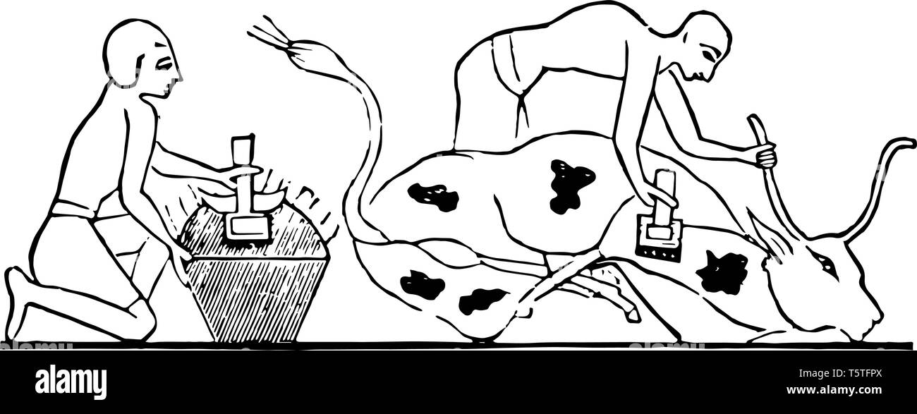 Vintage healing Stock Vector Images - Alamy