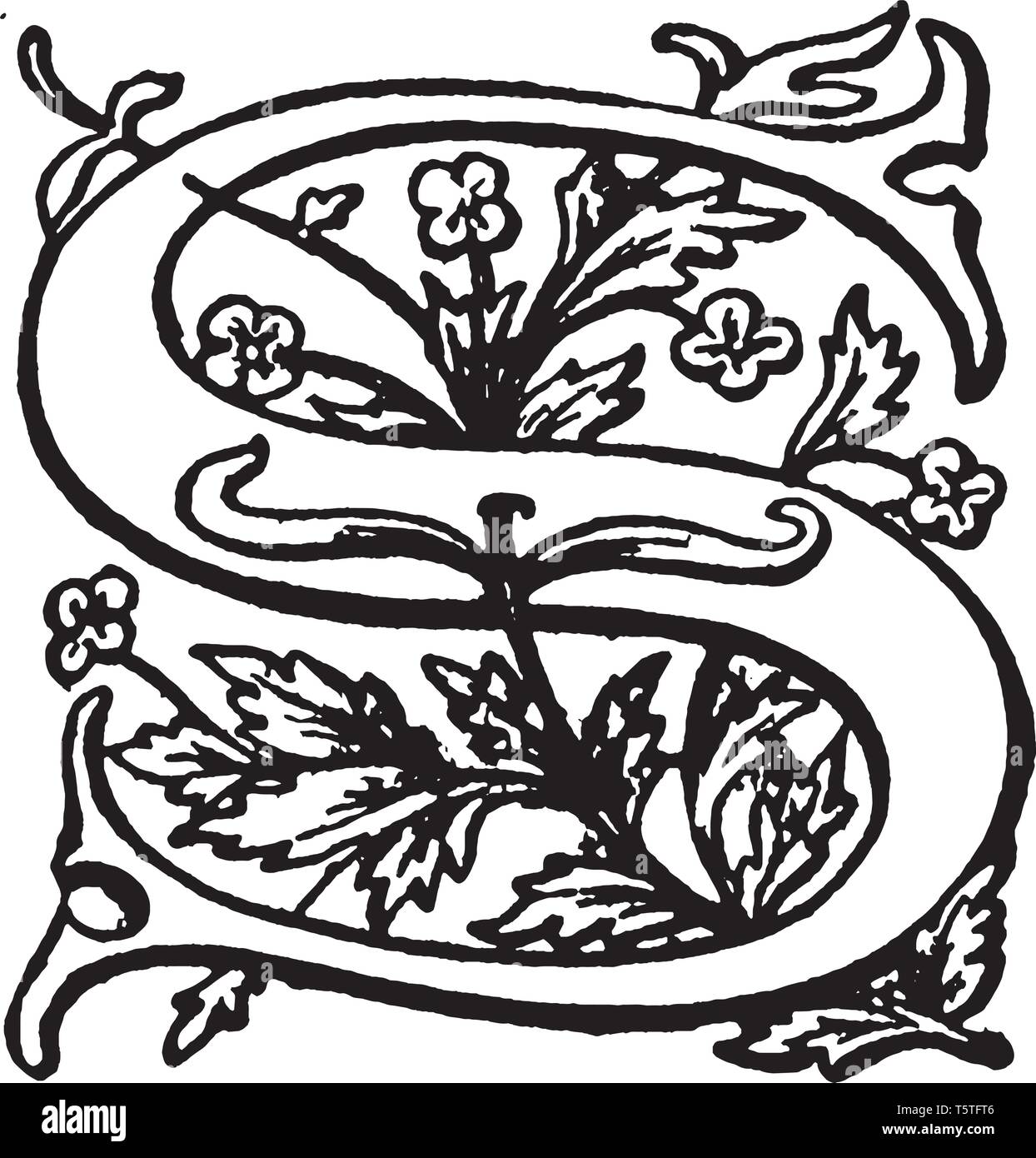A floral capital letter S, vintage line drawing or engraving ...