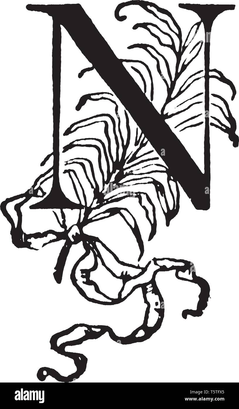 An ornamental and decorative letter N, vintage line drawing or ...