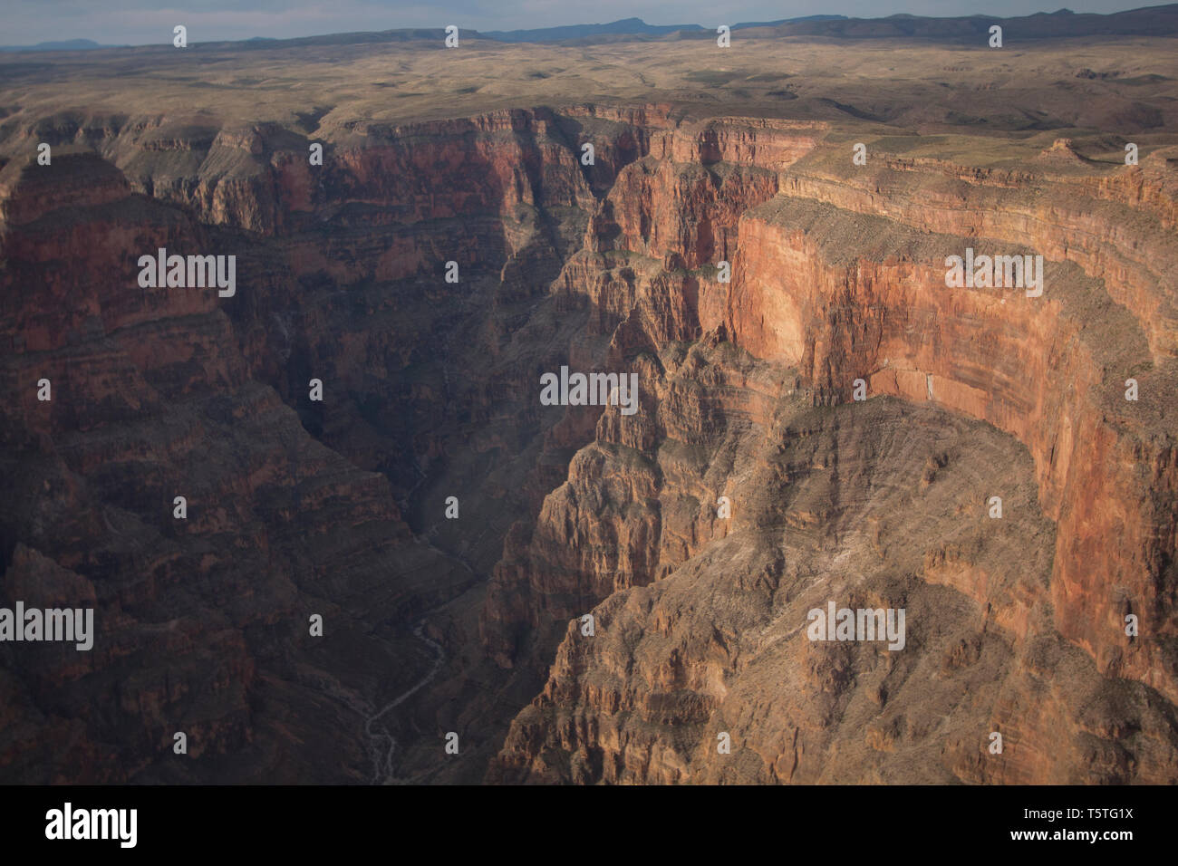 Aerial of the Grand Canyon West Rim Stock Photo - Alamy