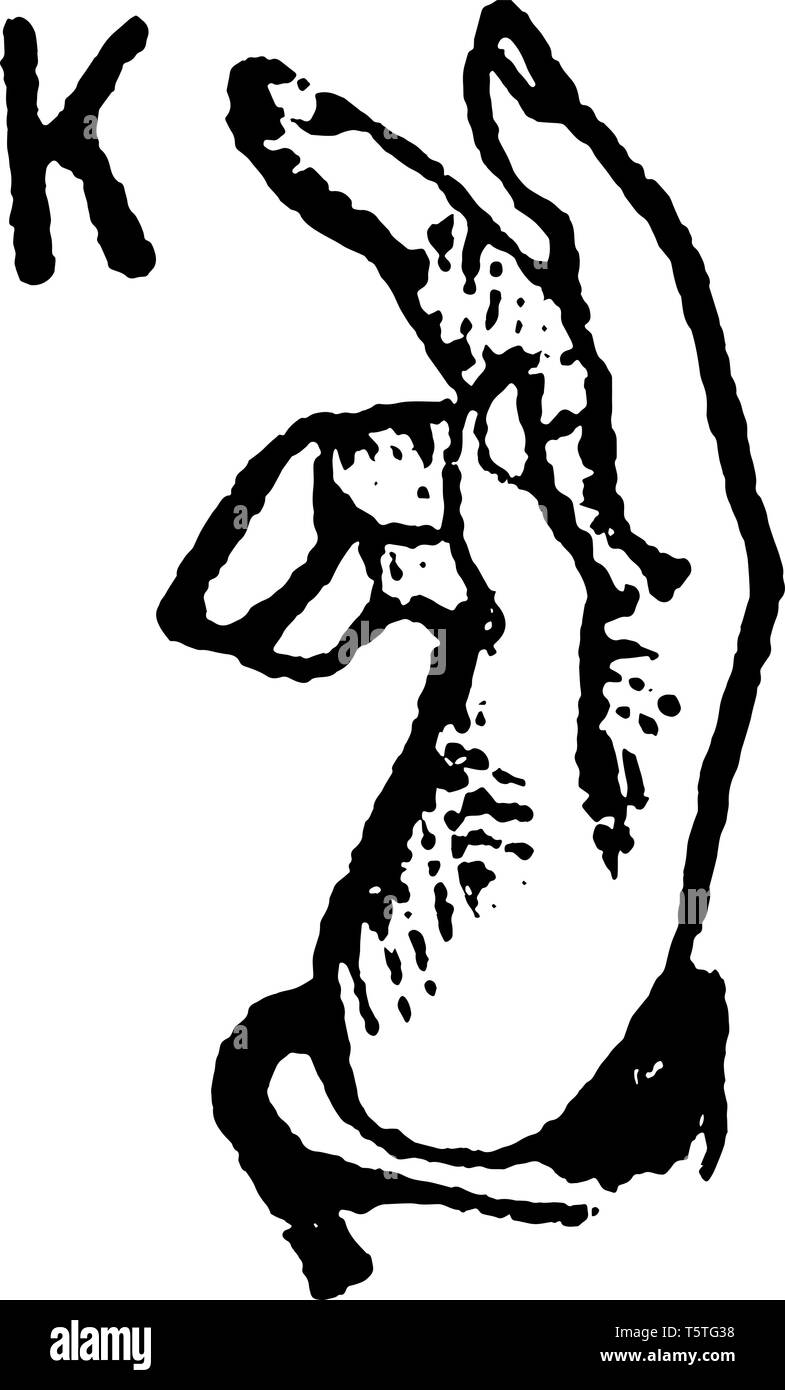 This illustration represents one handed Sign for K, vintage line ...