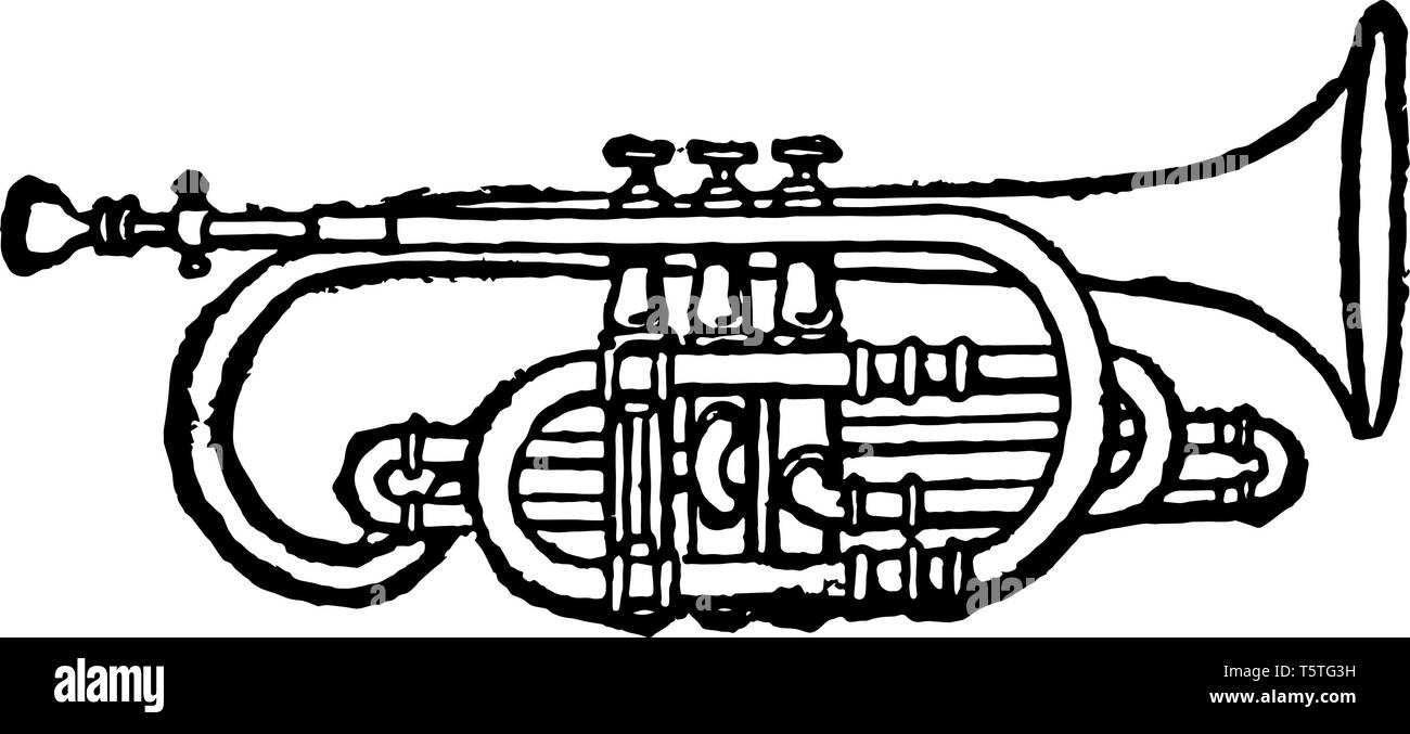 Cornet drawing hi-res stock photography and images - Alamy