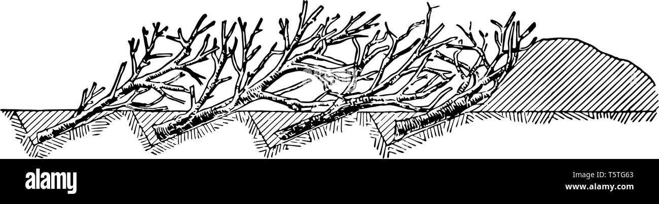 Abatis hi-res stock photography and images - Alamy