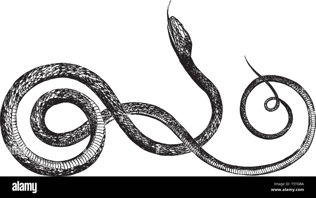 Golden luster hi-res stock photography and images - Alamy