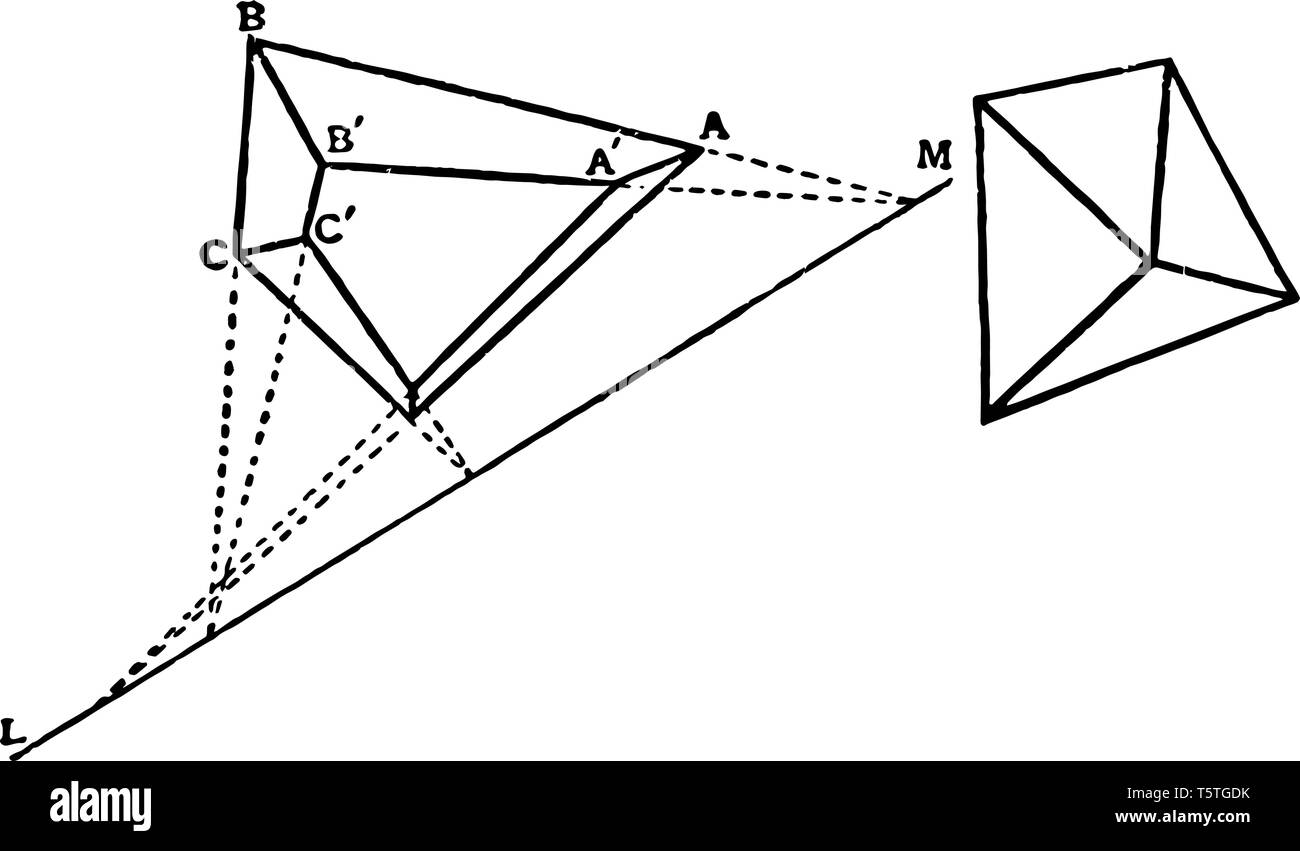 A diagram showing the orthogonal projection of a closed polyhedron with ...