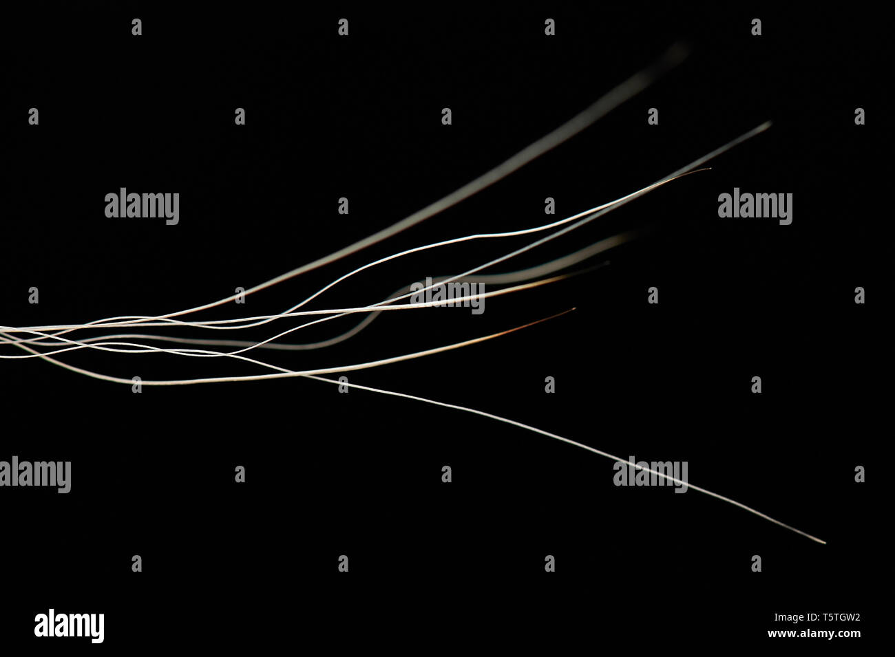 White hair background wave hi-res stock photography and images - Alamy