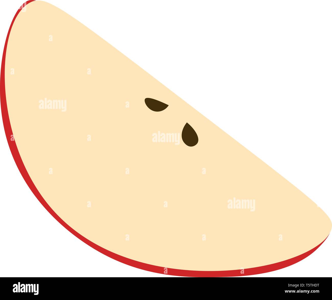 A slice of apple which contains two black seeds vector color drawing or ...