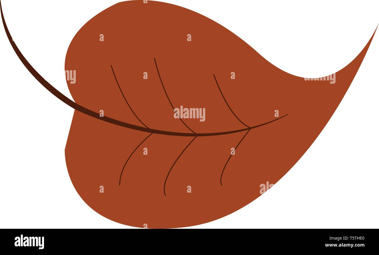 Leaf drawing vector vectors Stock Vector Images - Alamy