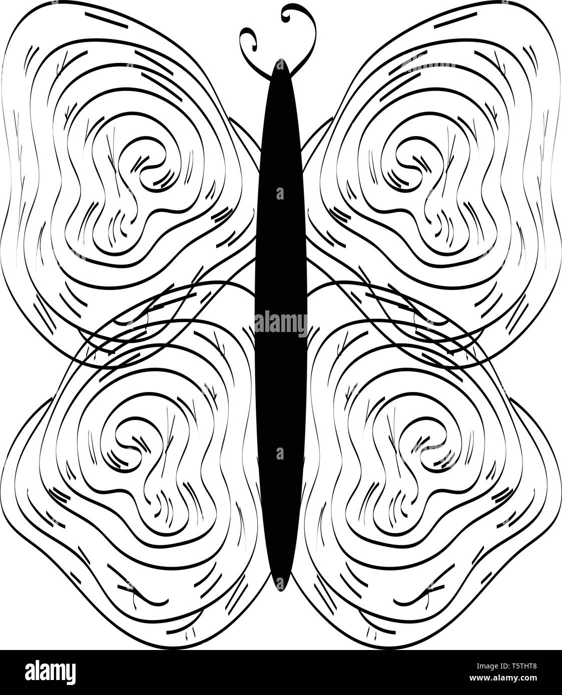 An intricate graphic design of a butterfly vector color drawing or ...