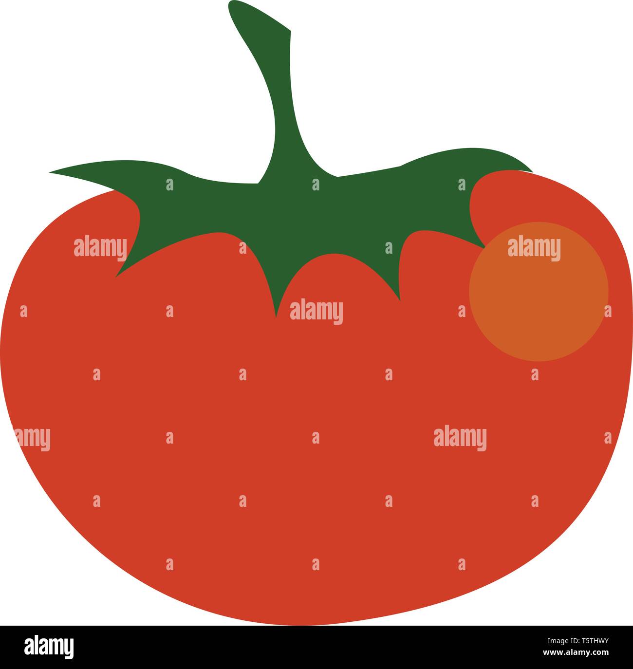 A red colored fruit resembling a tomato vector color drawing or ...