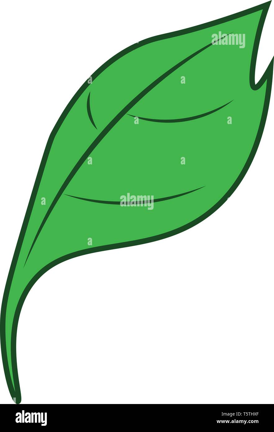 Leaf drawing vector vectors hi-res stock photography and images - Alamy