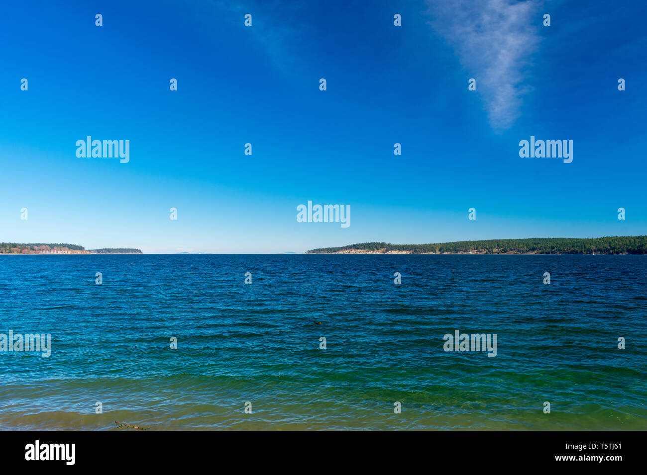 Sequim bay state park hi-res stock photography and images - Alamy