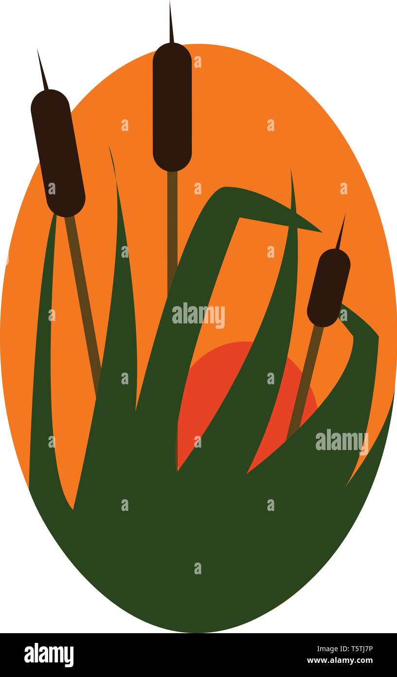 Reflections in the sun Stock Vector Images - Alamy