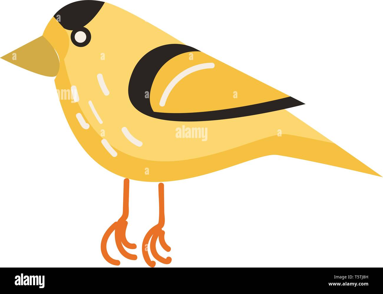 Natural wildlife illustration Cut Out Stock Images & Pictures - Alamy