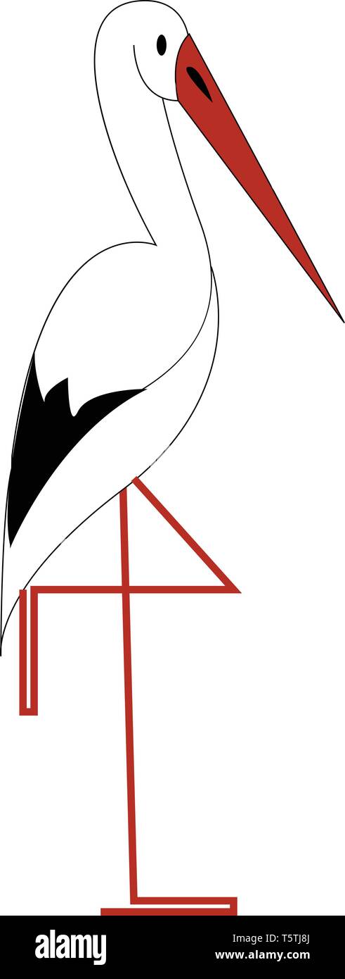 A white Stroke bird vector or color illustration Stock Vector Image ...