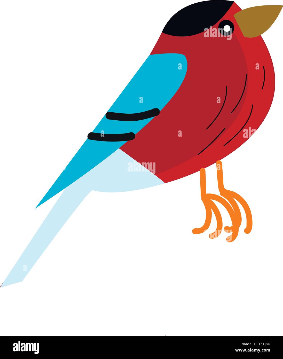A colorful small bird vector or color illustration Stock Vector Image ...