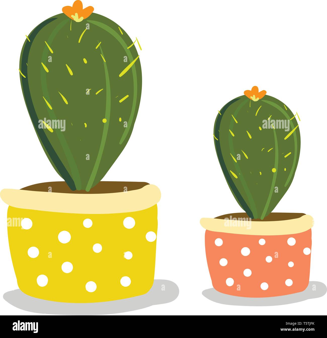 Two cactus decoration vector or color illustration Stock Vector Image ...