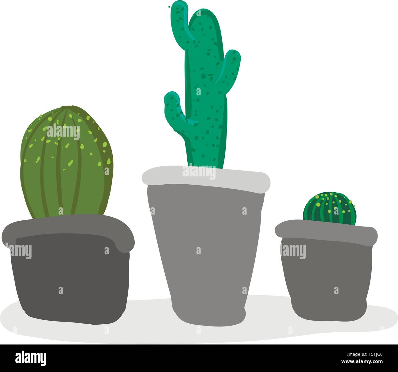 Indoor cactus pots vector or color illustration Stock Vector Image ...