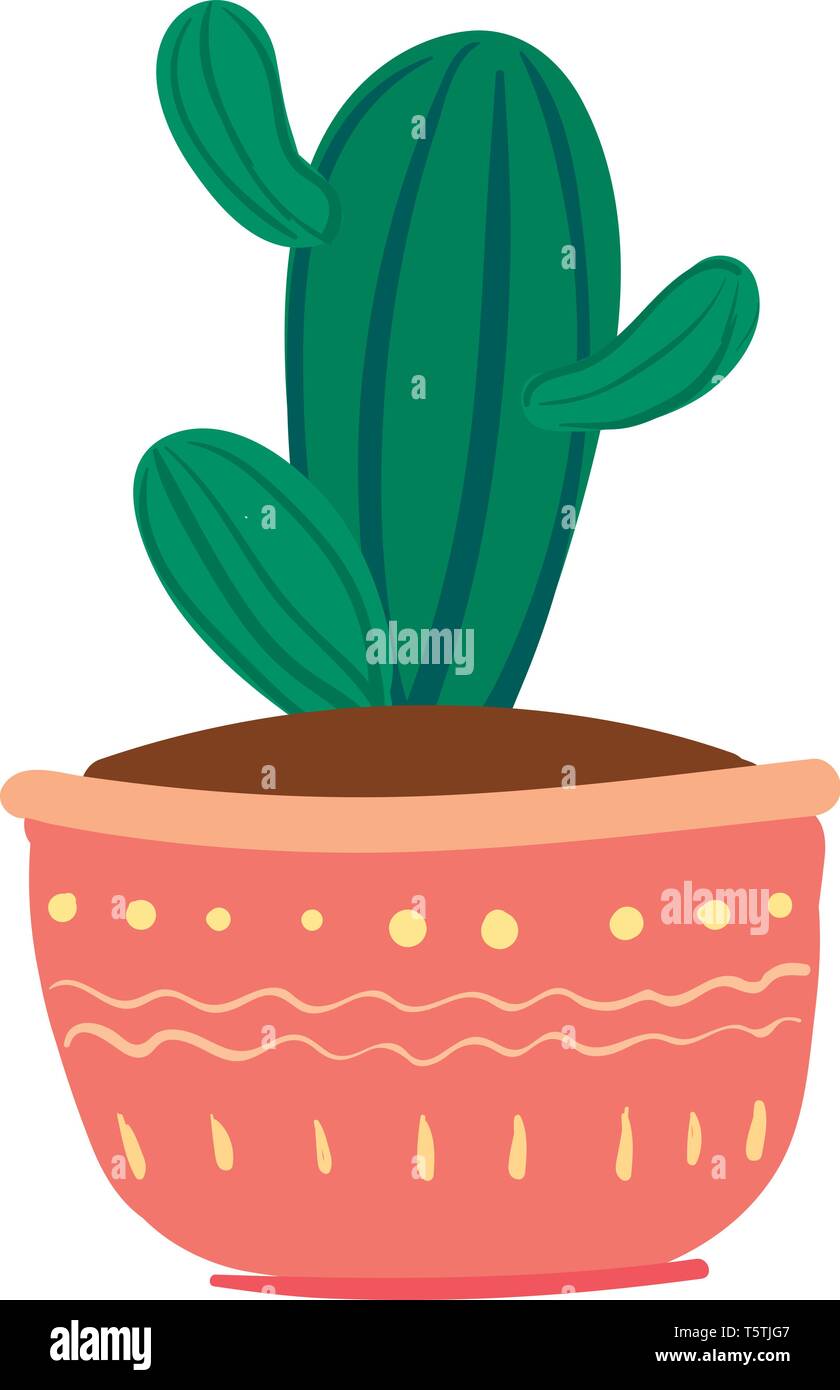 Striped cactus with small arms vector or color illustration Stock ...
