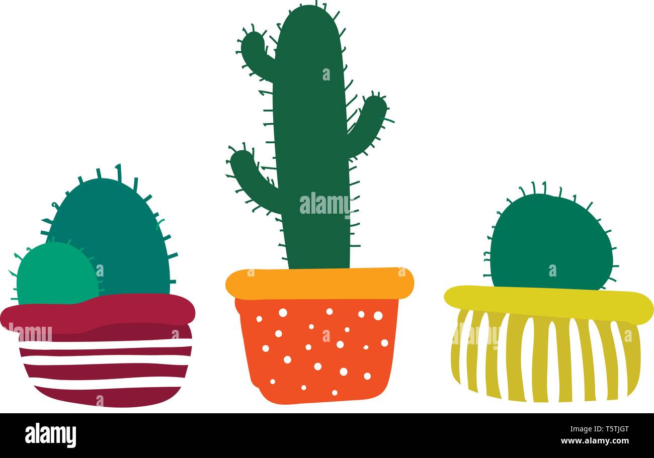 Set of decorative cactus plant pots vector or color illustration Stock ...