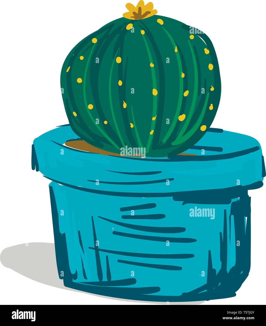 Painting of round shape cactus vector or color illustration Stock ...