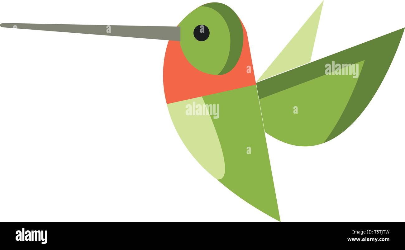 A green Colibri bird vector or color illustration Stock Vector Image ...