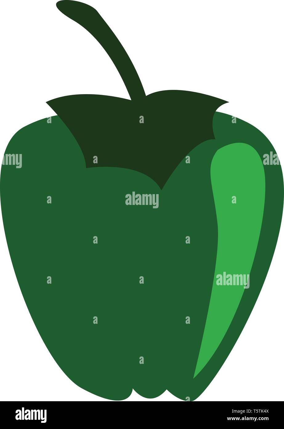 A fresh green pepper vector or color illustration Stock Vector Image ...
