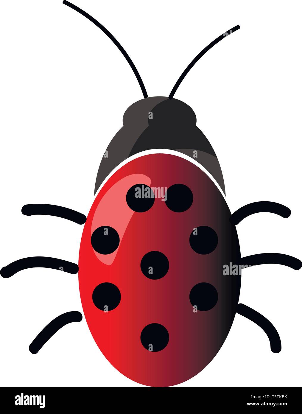 A ladybug insect vector or color illustration Stock Vector Image & Art ...
