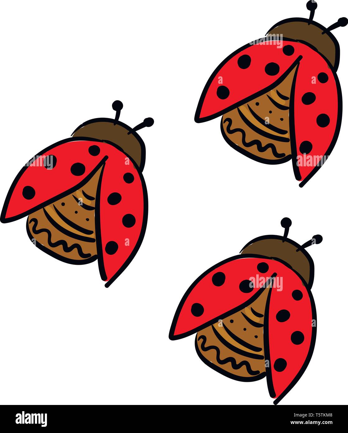 Three cute little dome-shaped lady beetles red in color and with some ...