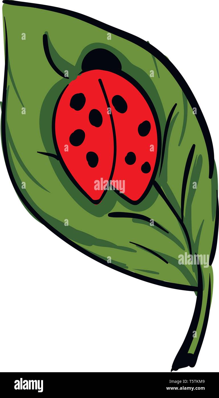 Red ladybird on green Stock Vector Images - Alamy