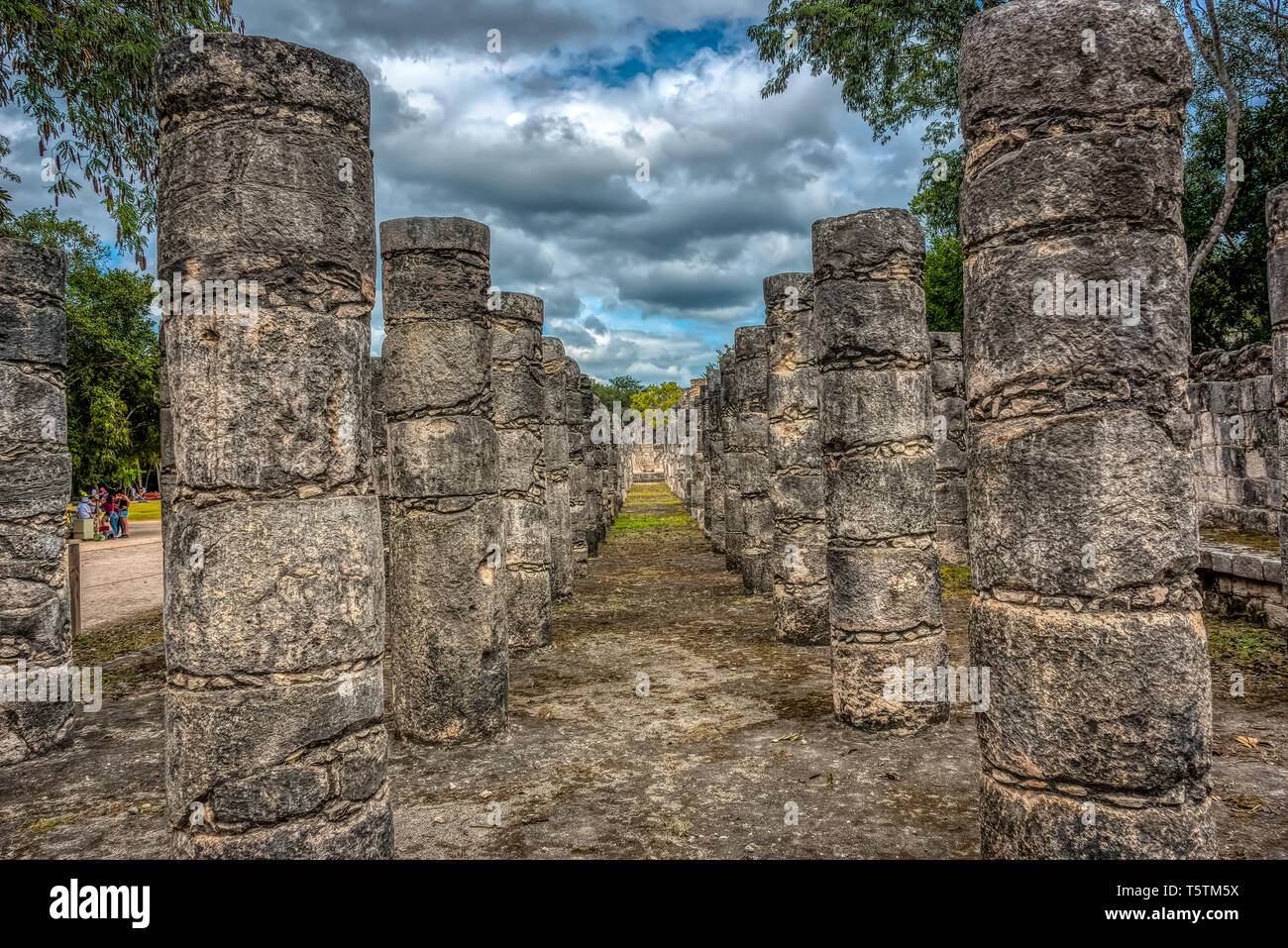 Columns in the Temple of a Thousand Warriors, Chichen Itza, Yucatan ...