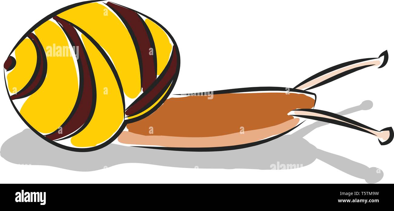Simple cartoon of a yellow and brown snail vector illustration on white ...