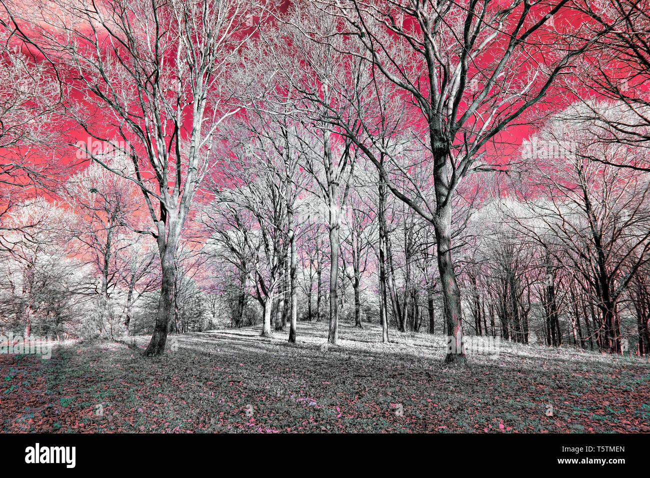 Nanometer hi-res stock photography and images - Alamy