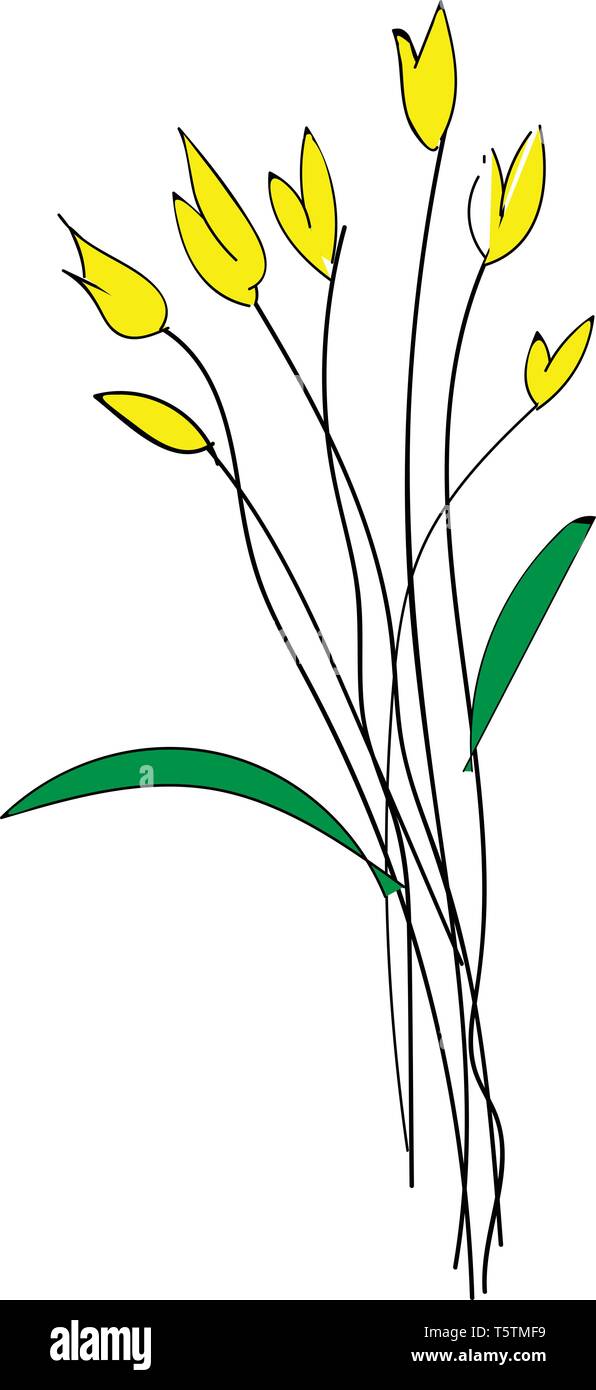 Sketch of yellow spring flowers basic RGB vector on white background ...