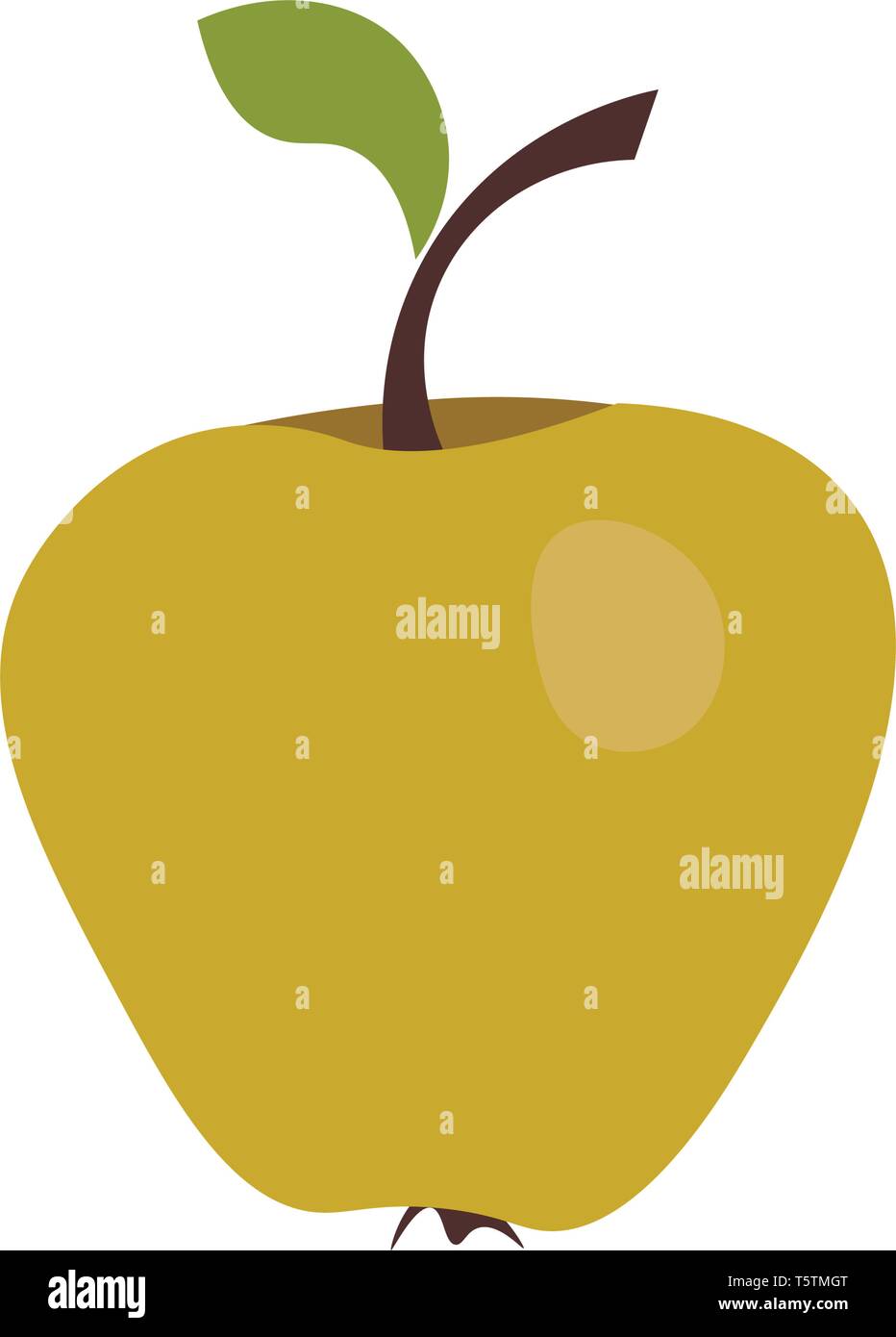 Simple green apple vector illustration on white background Stock Vector ...