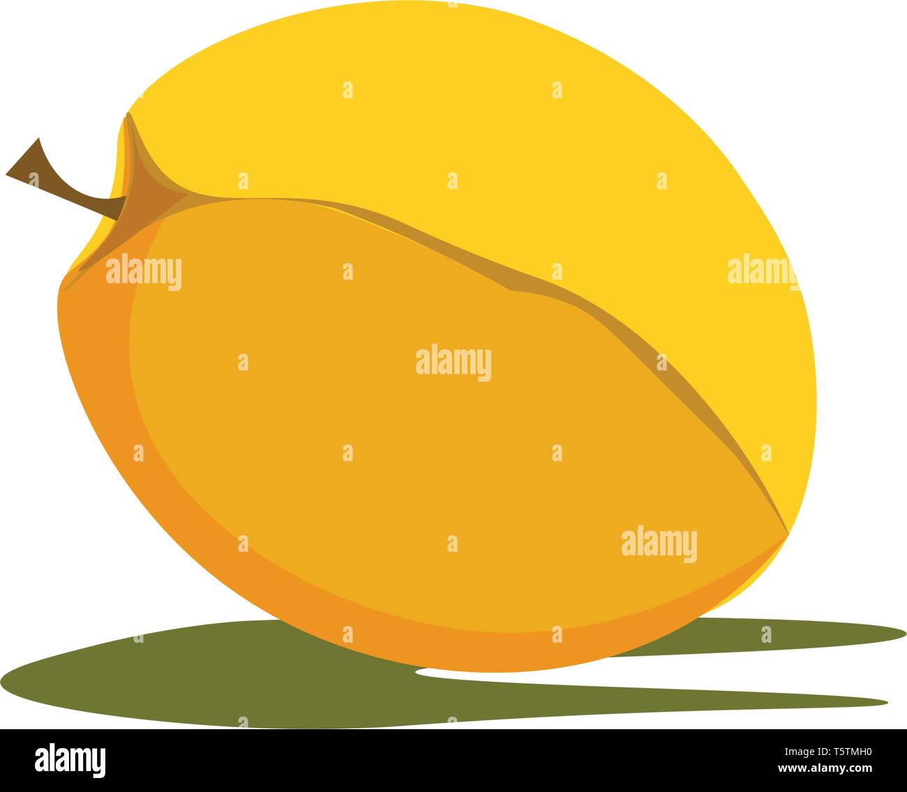 Simple cartoon apricot vector illustration on white background Stock ...