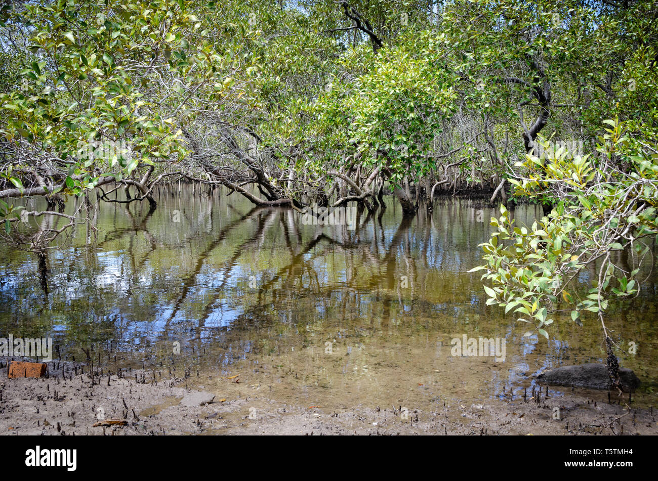 Evans head hi-res stock photography and images - Alamy